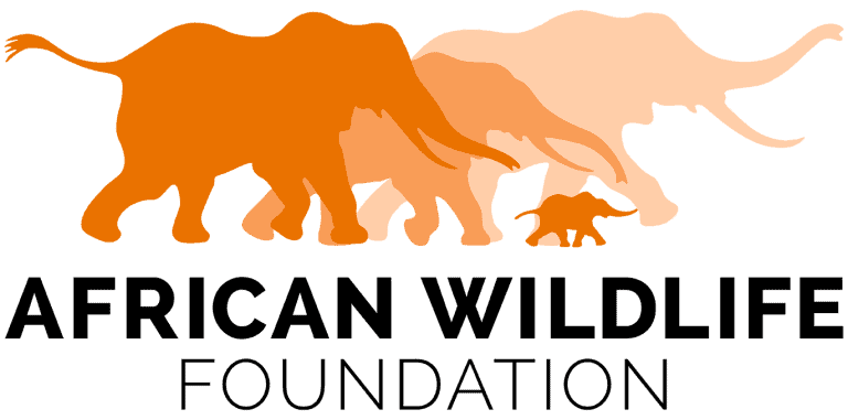 Top 9 Best African Charities to Donate to in 2024 - Make a Lasting Impact