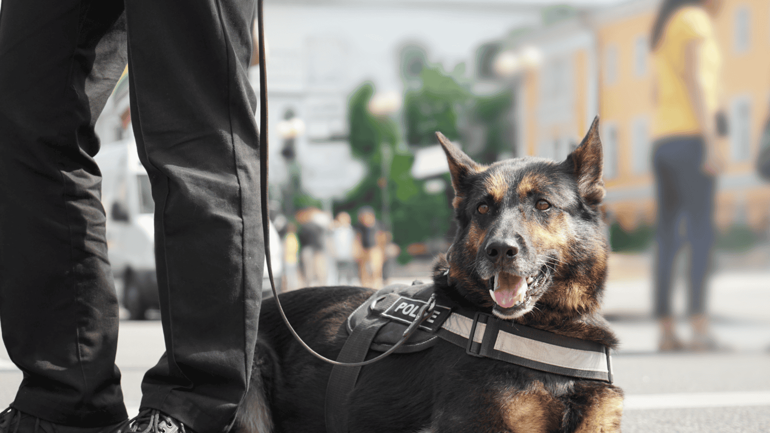 10 Unique Police Fundraiser Ideas to Support Your Local Heroes