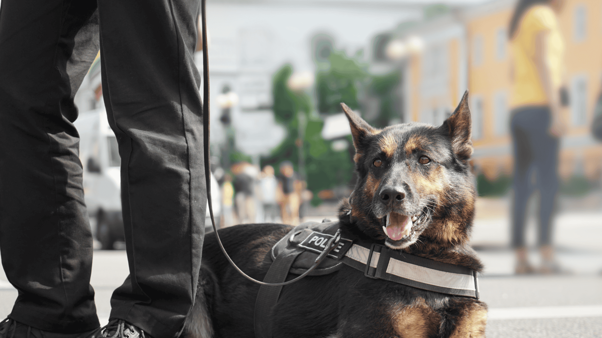 10 Unique Police Fundraiser Ideas to Support Your Local Heroes