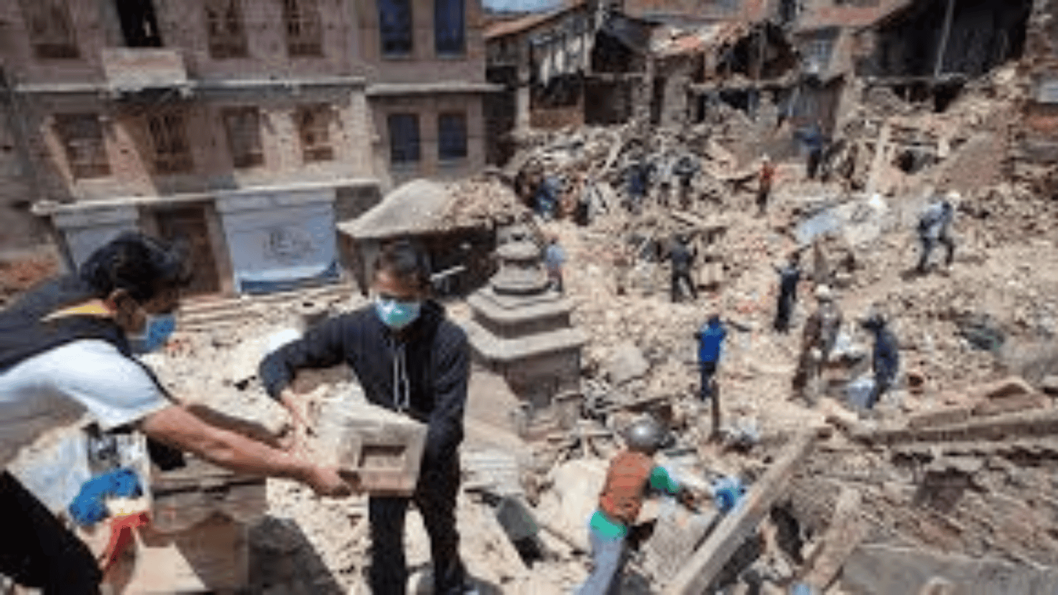 14 Different Types of Charities You Should Know About (With Examples)