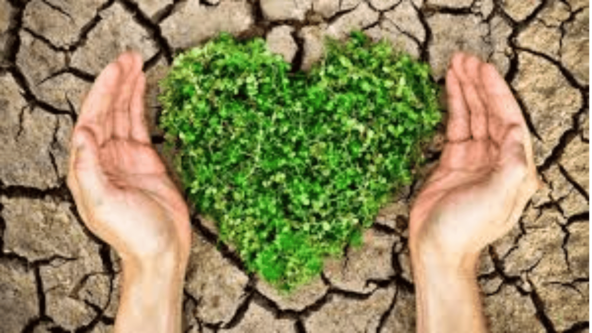 14 Different Types of Charities You Should Know About (With Examples)