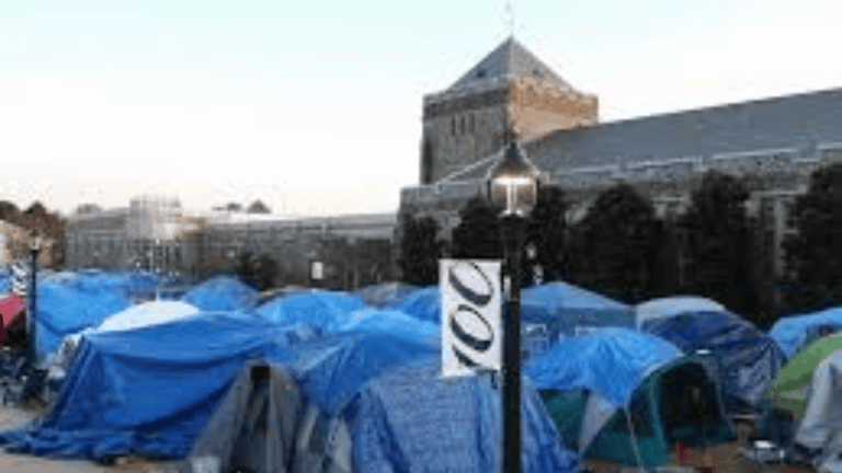 10 Unique Outdoor Raffle Basket Ideas to Make Your Event Unforgettable